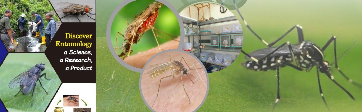 ENTOMOLOGY – Institute of Tropical Disease, Universitas Airlangga